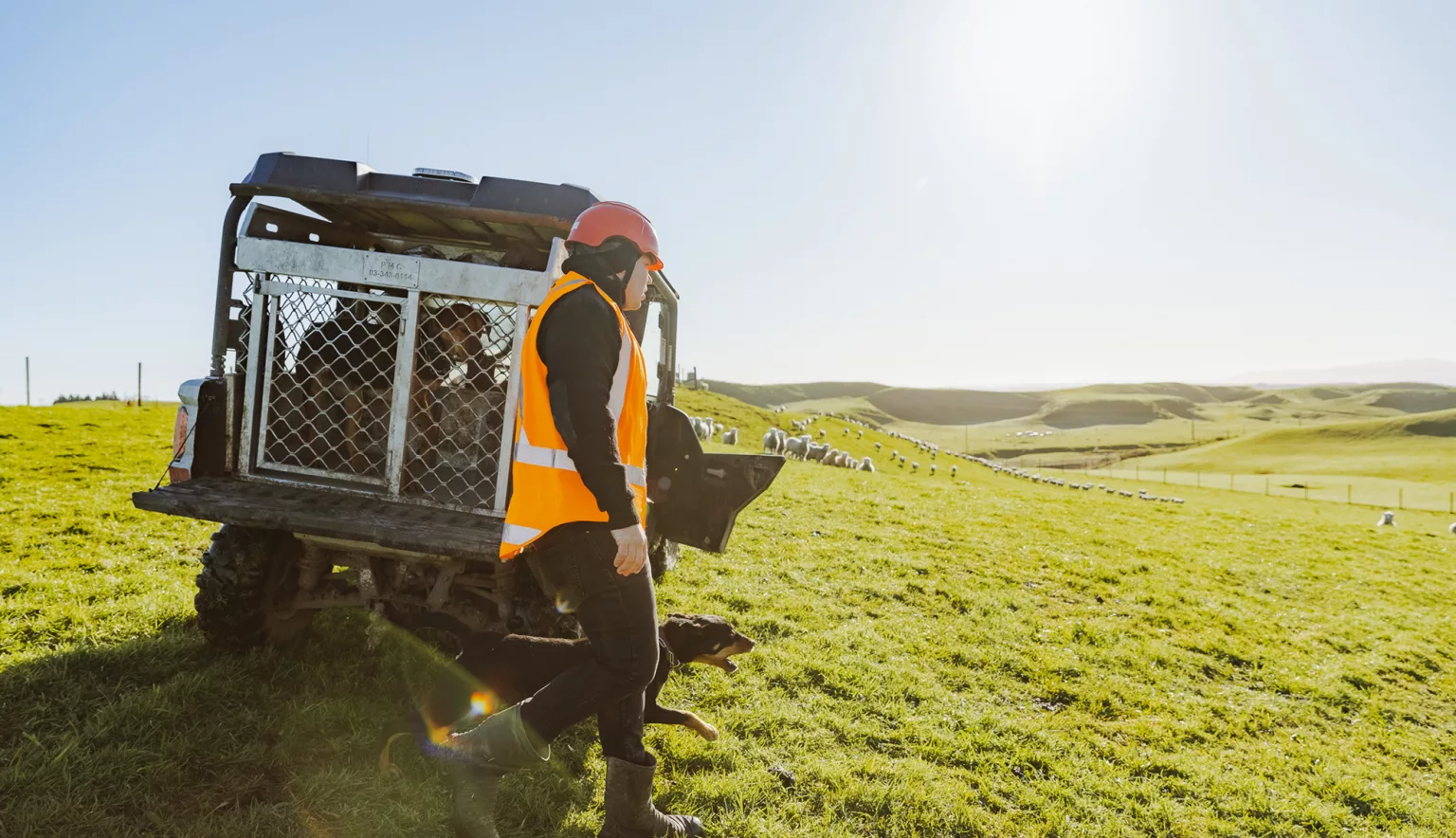 Pāmu Farms : Guardians of the Land - APAC Outlook Magazine