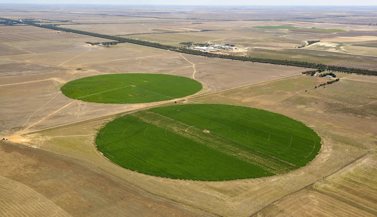 Zerella Fresh : Feel the Freshness - APAC Outlook Magazine